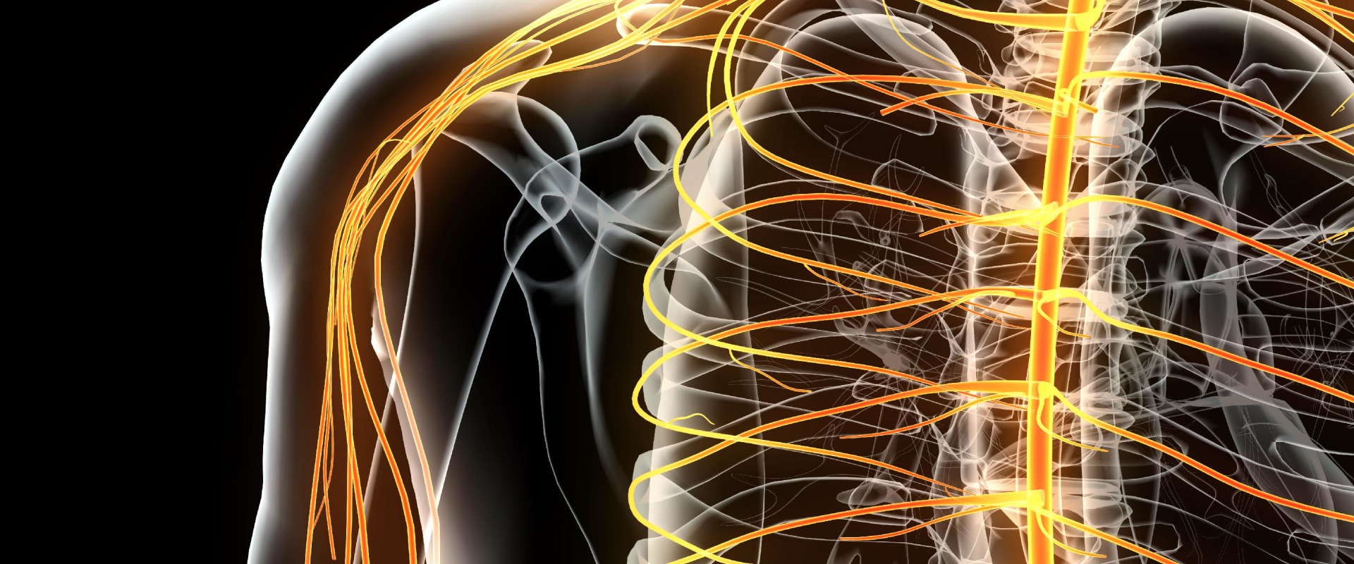 Understanding the Neurological Test for Charcot-Marie-Tooth Disease